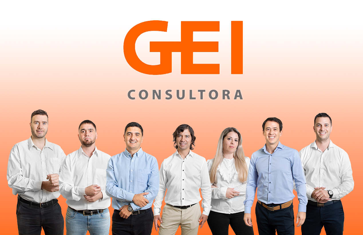 Equipo GEI - GEI Consultora